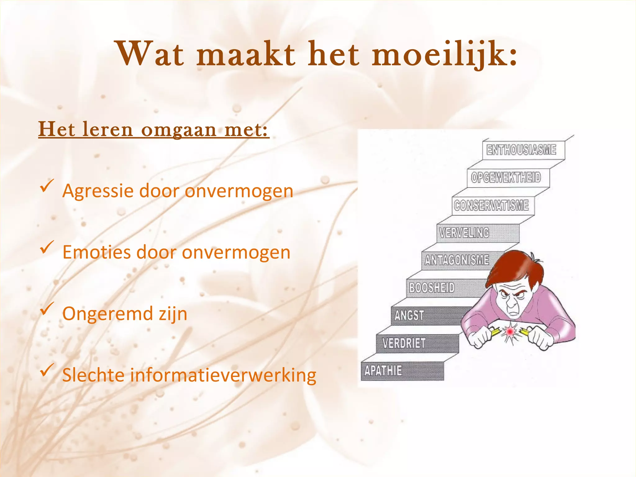 Kennis van het werkveld | PPS
