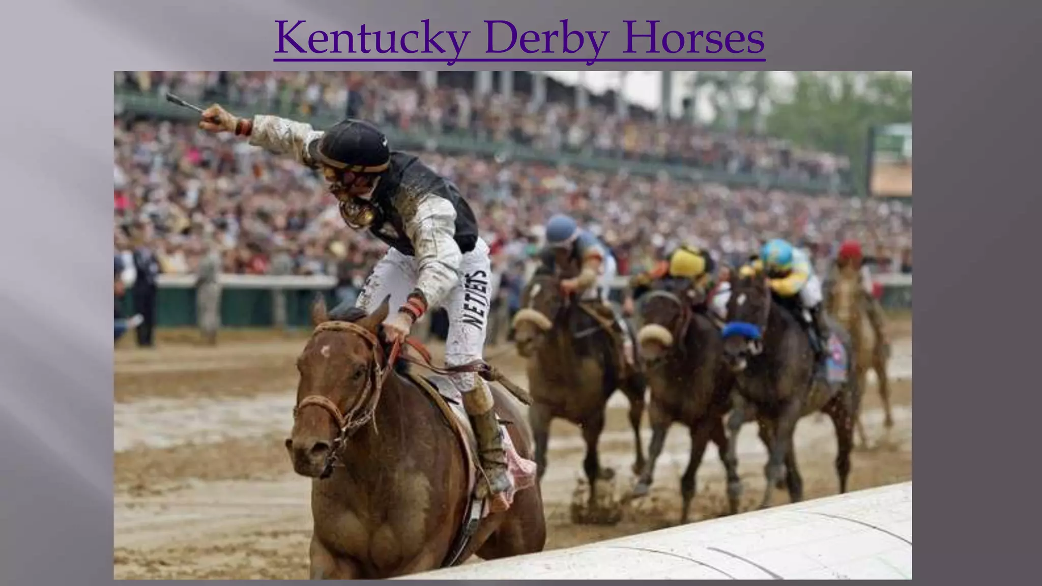 Kentucky derby horses | PPTX | Equine Sports | Sports