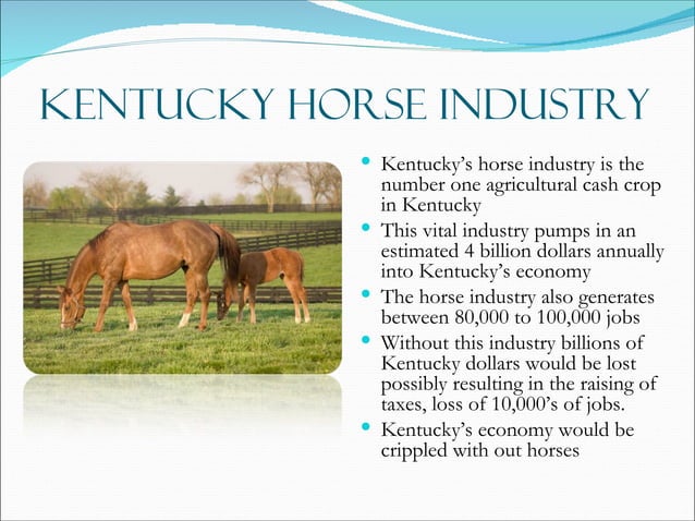 Kentucky derby ppt | PPT