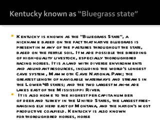 Kentuckyyy | PPT