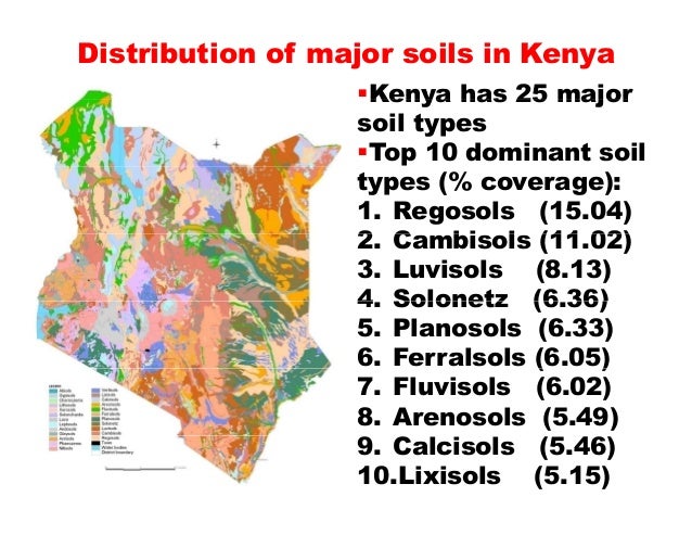 The status of soil resources, needs and priorities towards sustainabl…