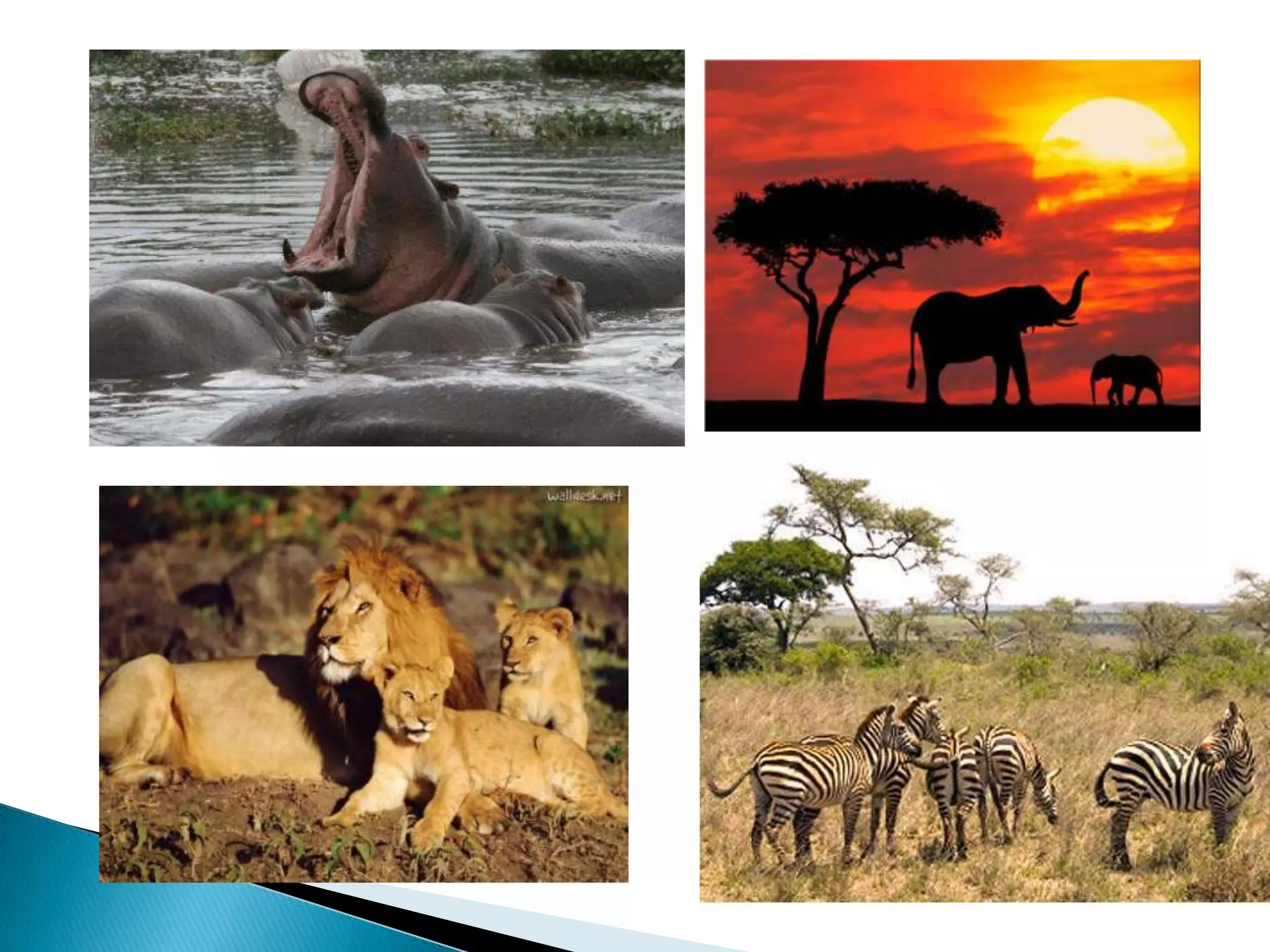 Kenya.pdf.ppt