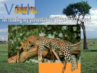 Kenya tourism | PPT