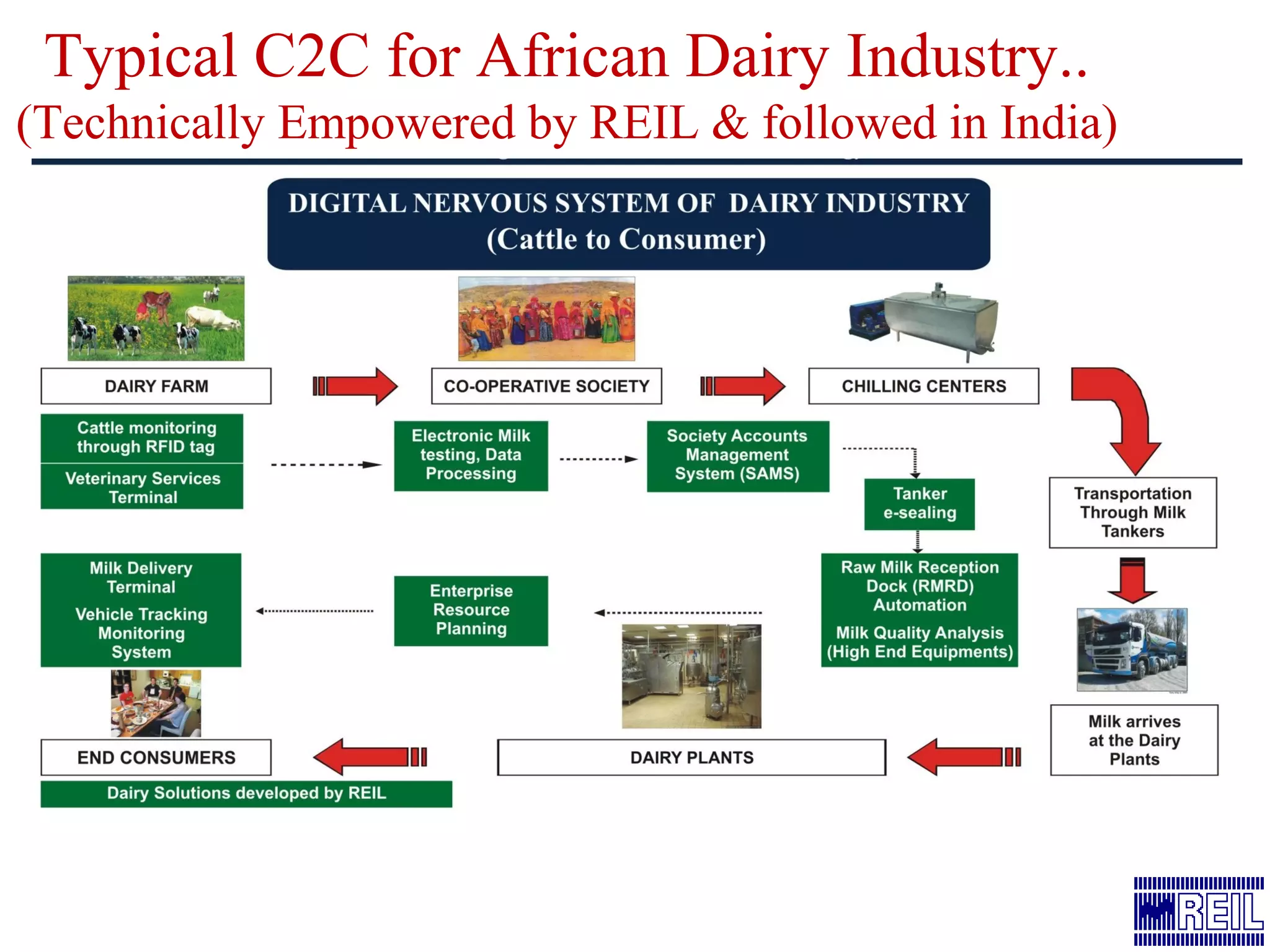 Milk Parametric Analysis in Dairy Value Chain for Dairy Development in ...
