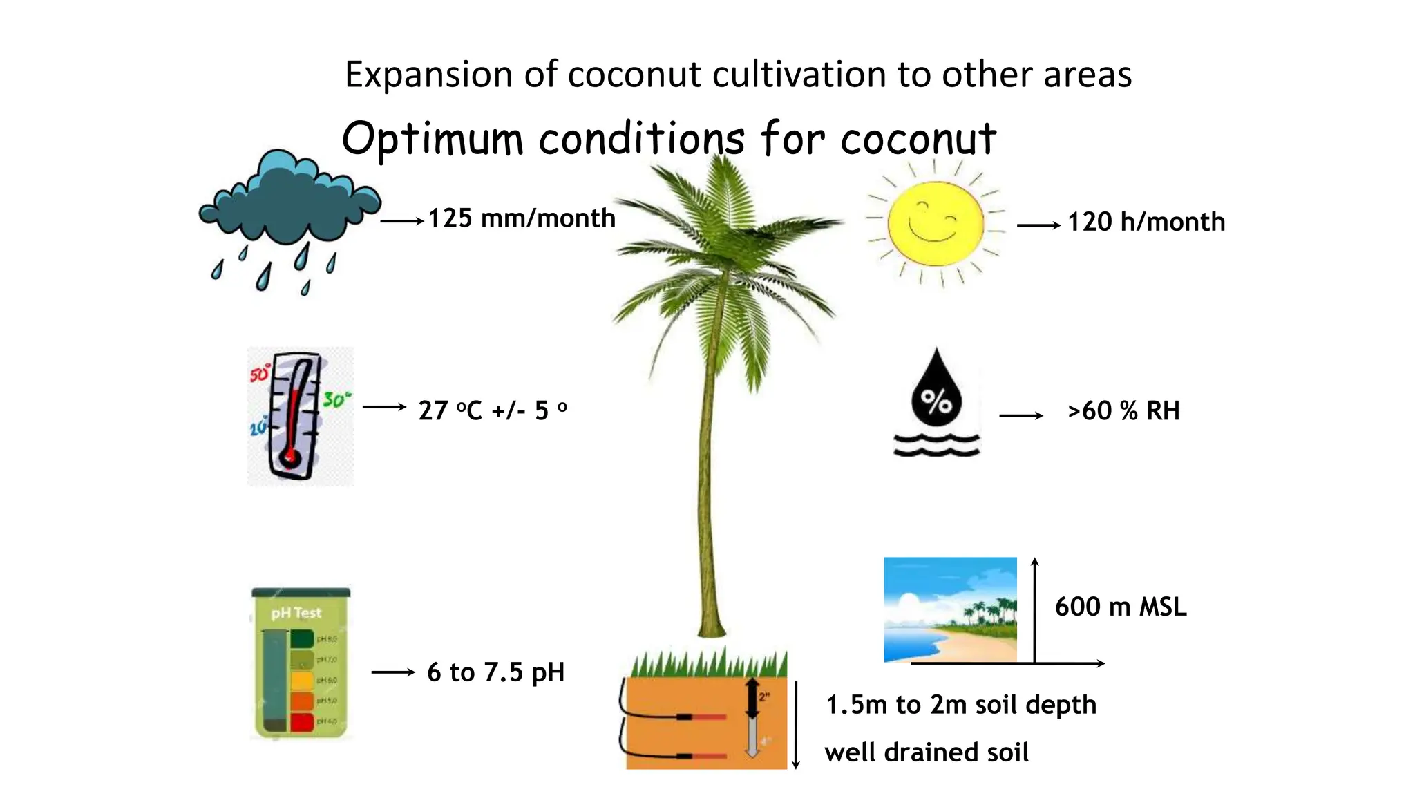 Kenya Coconut Production Presentation by Dr. Lalith Perera | PPT