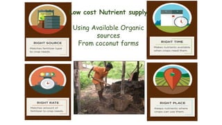 Kenya Coconut Production Presentation by Dr. Lalith Perera | PPT