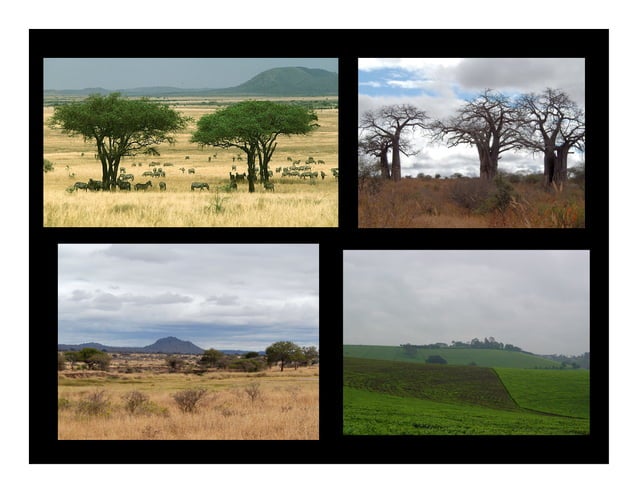 Kenya geography moodle | PDF | Africa Travel | Travel Locations