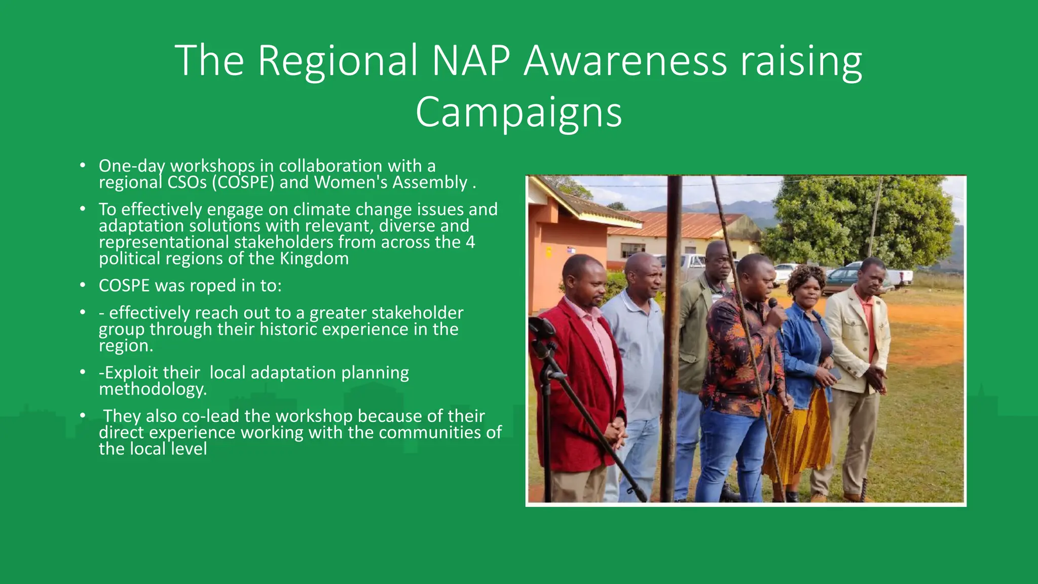 The Vertical Integration of the NAP Process: The Kingdom of Eswatini’s ...