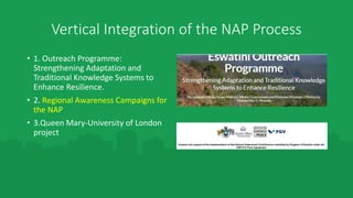 The Vertical Integration of the NAP Process: The Kingdom of Eswatini’s Recent Experiences | PDF ...