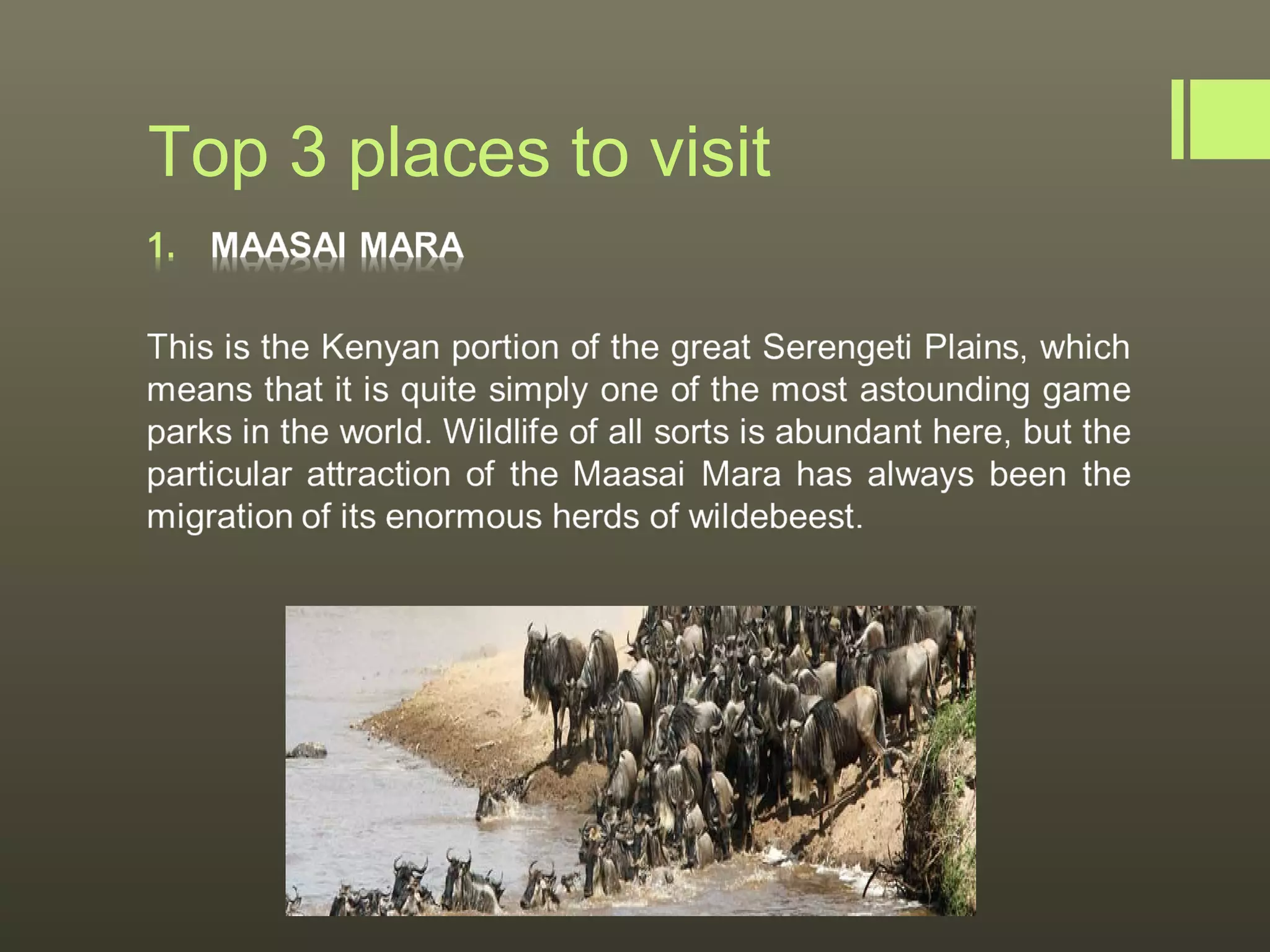 Kenyan Presentation | PPT