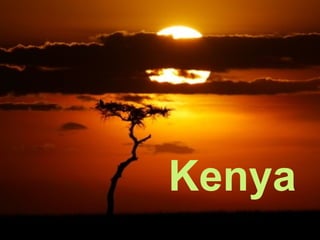 Kenyan Presentation | PPT