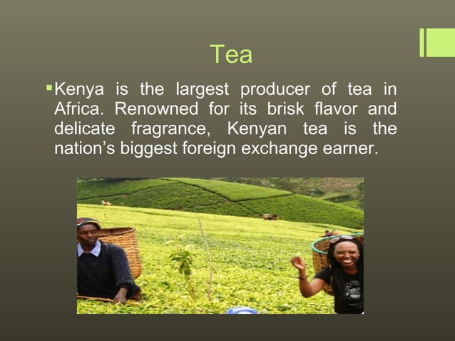 Kenyan Presentation | PPT