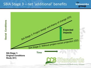 Social and Biodiversity Impact Assessment - the 7 stages | PPTX