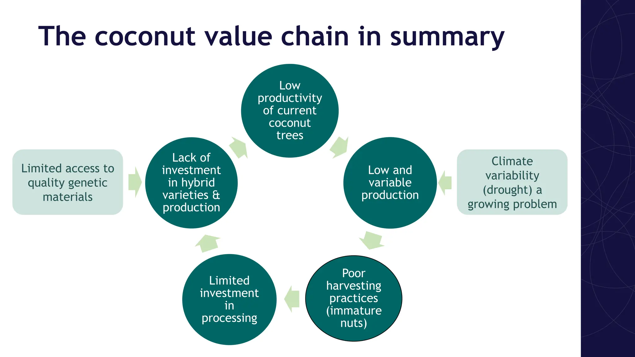 Kenya’s Coconut Value Chain by Gatsby Africa | PPTX