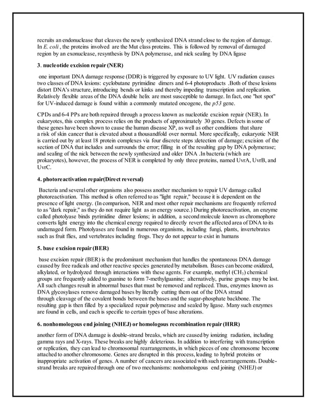 Kenyatta university. hmb201 dna repairdocx | DOCX | Biological Sciences ...