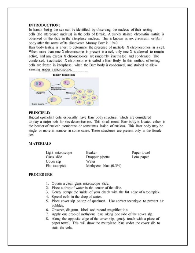 Kenyatta university barr bodies | DOCX