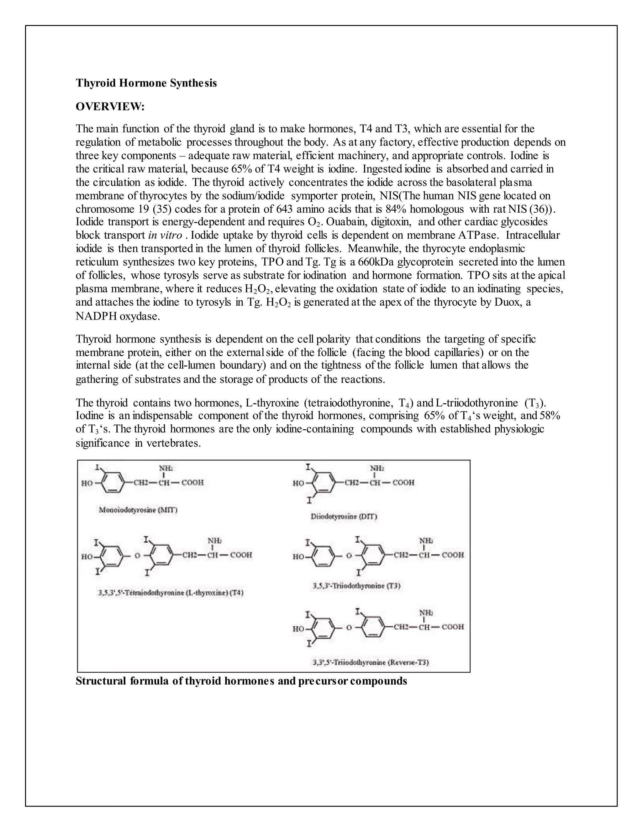 Kenyatta university thyroid hormone synthesis cat1 task | DOCX