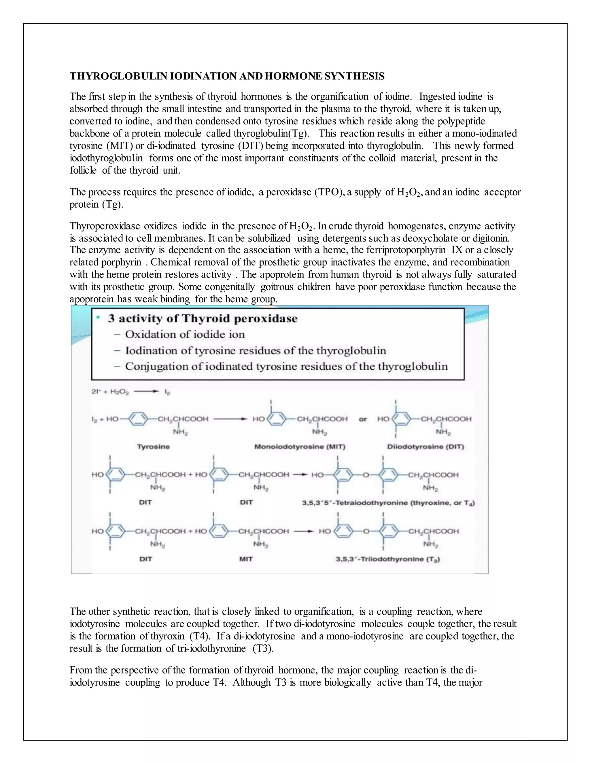 Kenyatta university thyroid hormone synthesis cat1 task | DOCX
