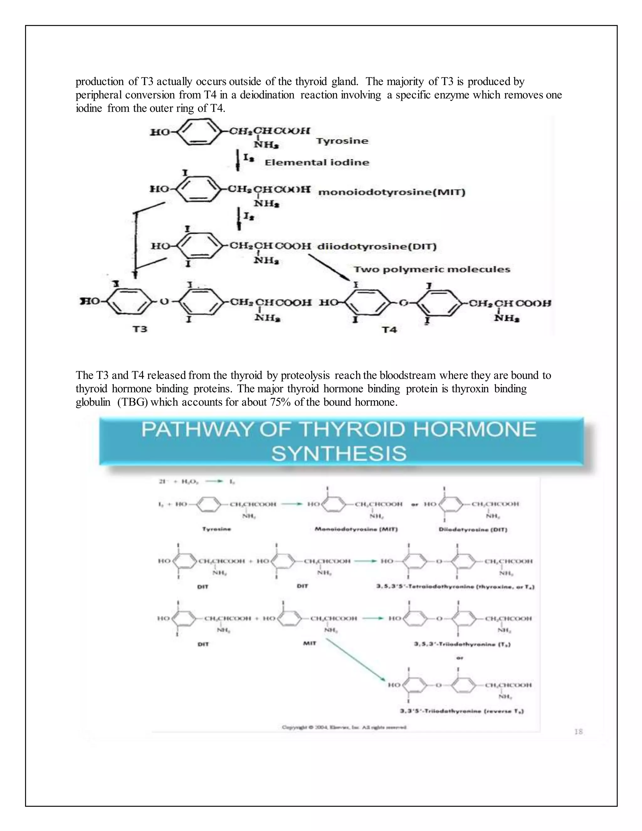 Kenyatta university thyroid hormone synthesis cat1 task | DOCX