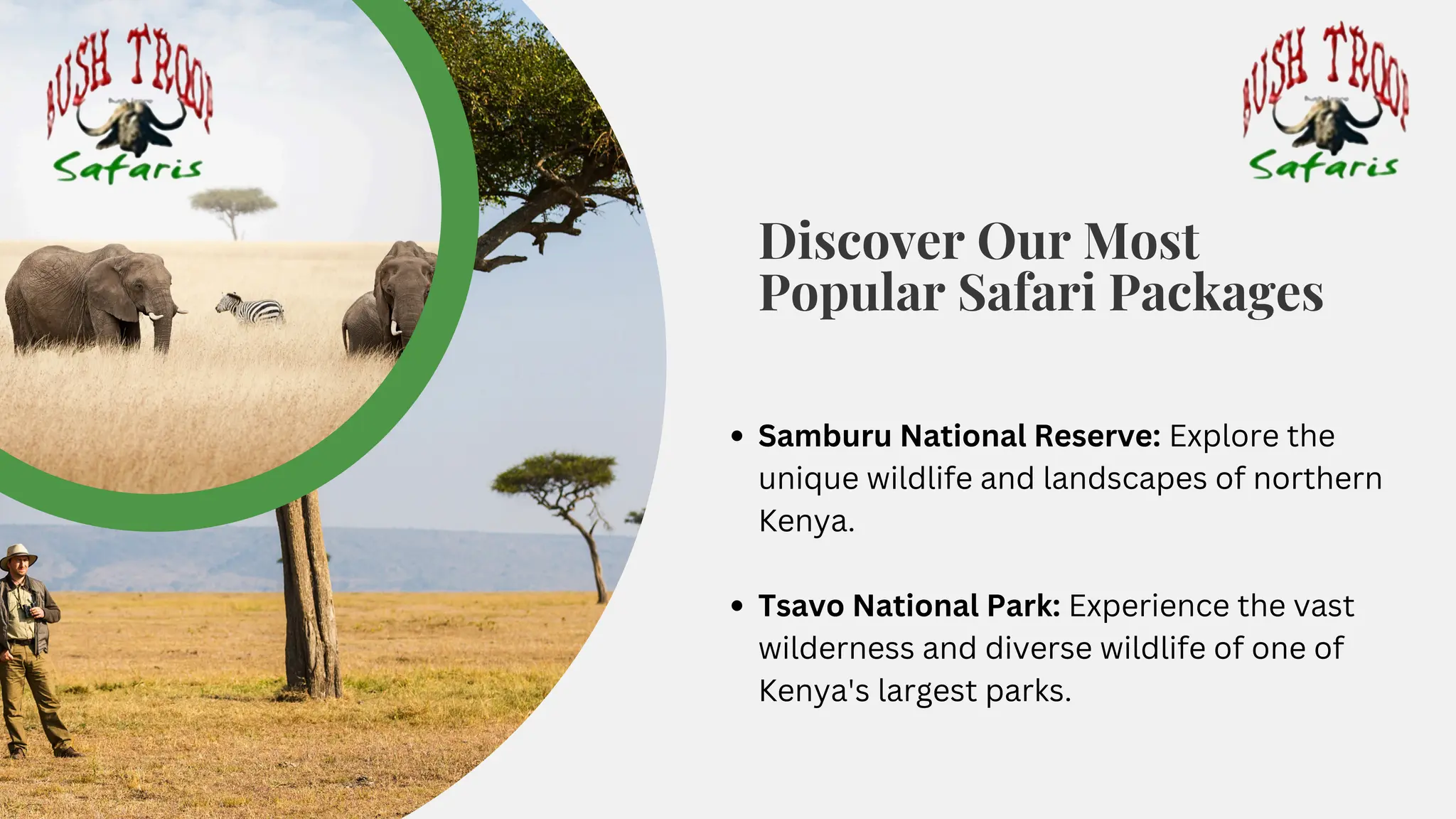 Kenya Wildlife Safari Packages with Bushtroop Tours & Safaris | PPT