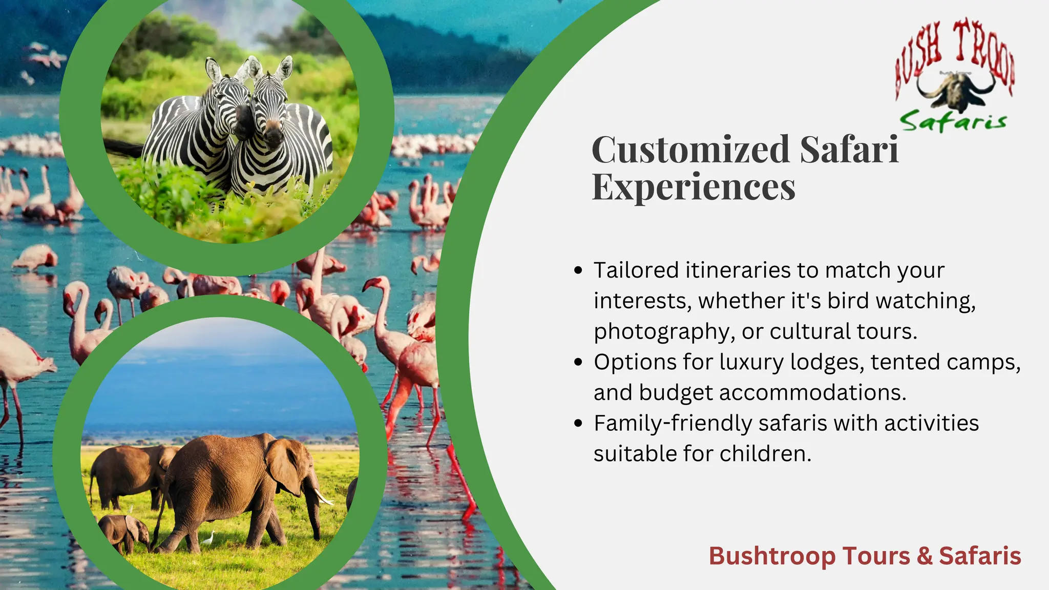 Kenya Wildlife Safari Packages with Bushtroop Tours & Safaris | PPT