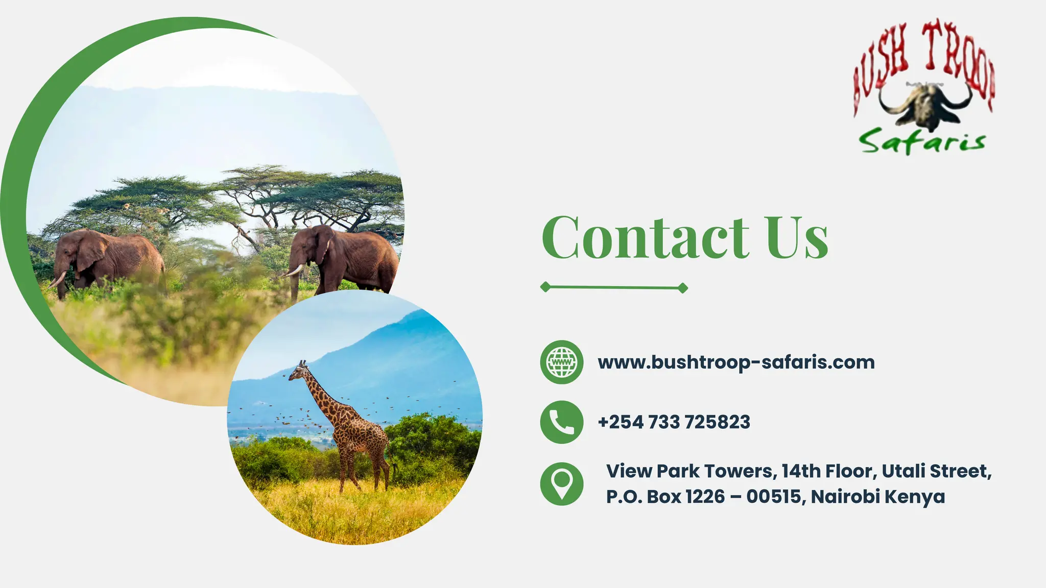 Kenya Wildlife Safari Packages with Bushtroop Tours & Safaris | PPT