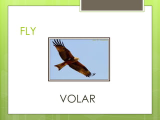VERBS | PPTX