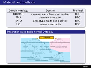 Semantic representation of neuroimaging observation | PPT