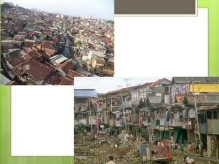 Kepadatan populasi manusia | PPTX