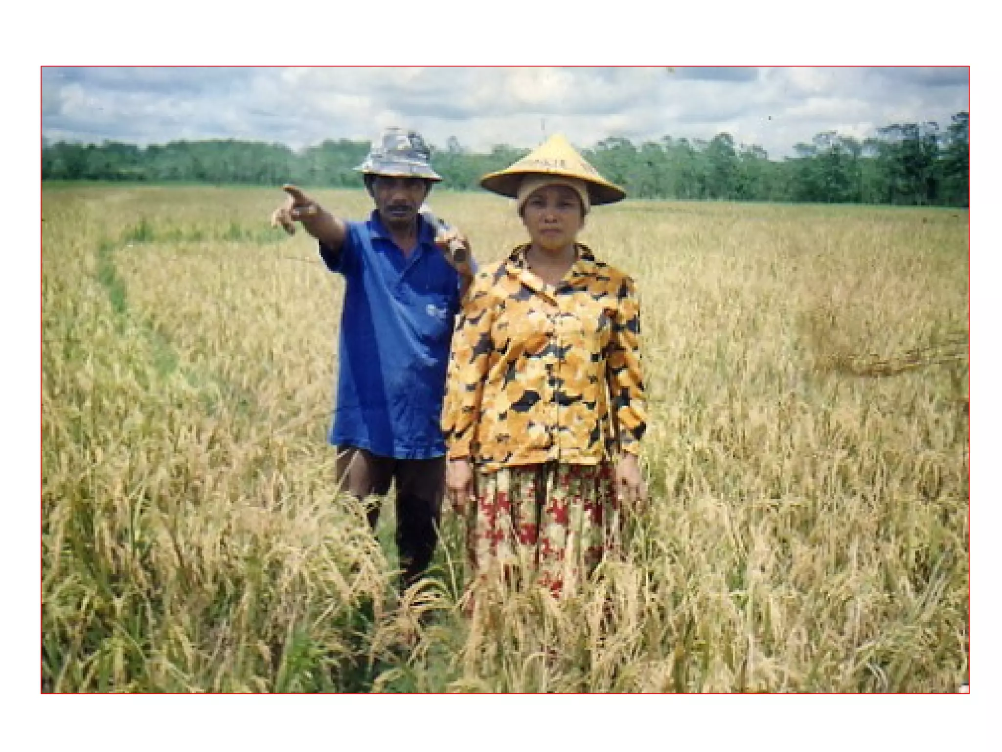 Module Kepemimpinan Korps Menwa Indonesia | PPT