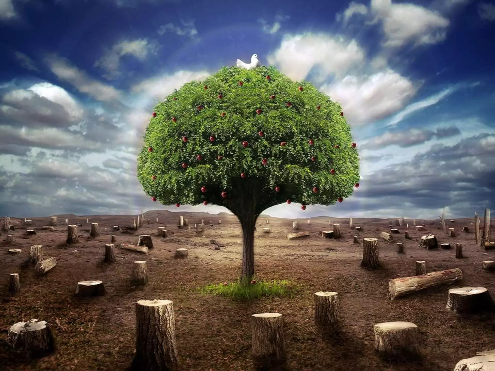 Kepentingan proses pencaran | PPTX