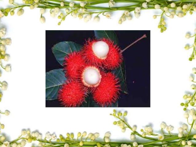 Kepentingan proses pencaran | PPTX