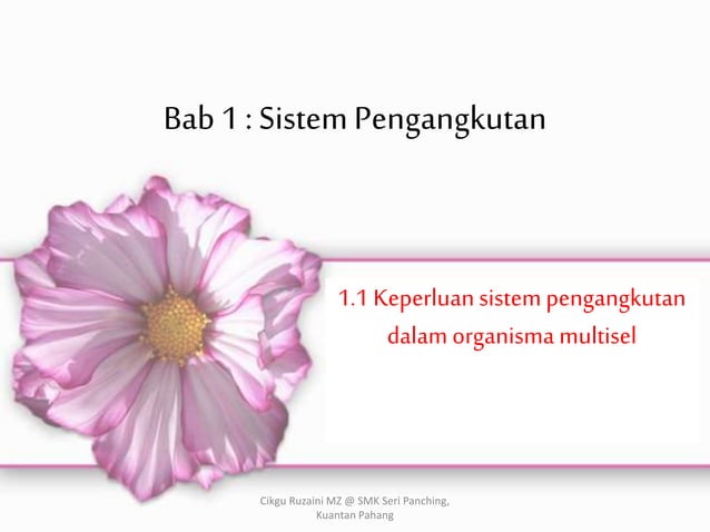 Keperluan sistem pengangkutan dalam organisma multisel | PPTX