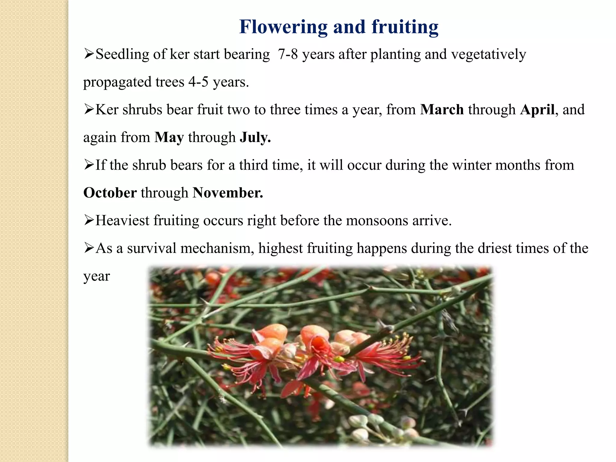 Presentation on Cultivation of ker | PPTX | Agriculture | Industries