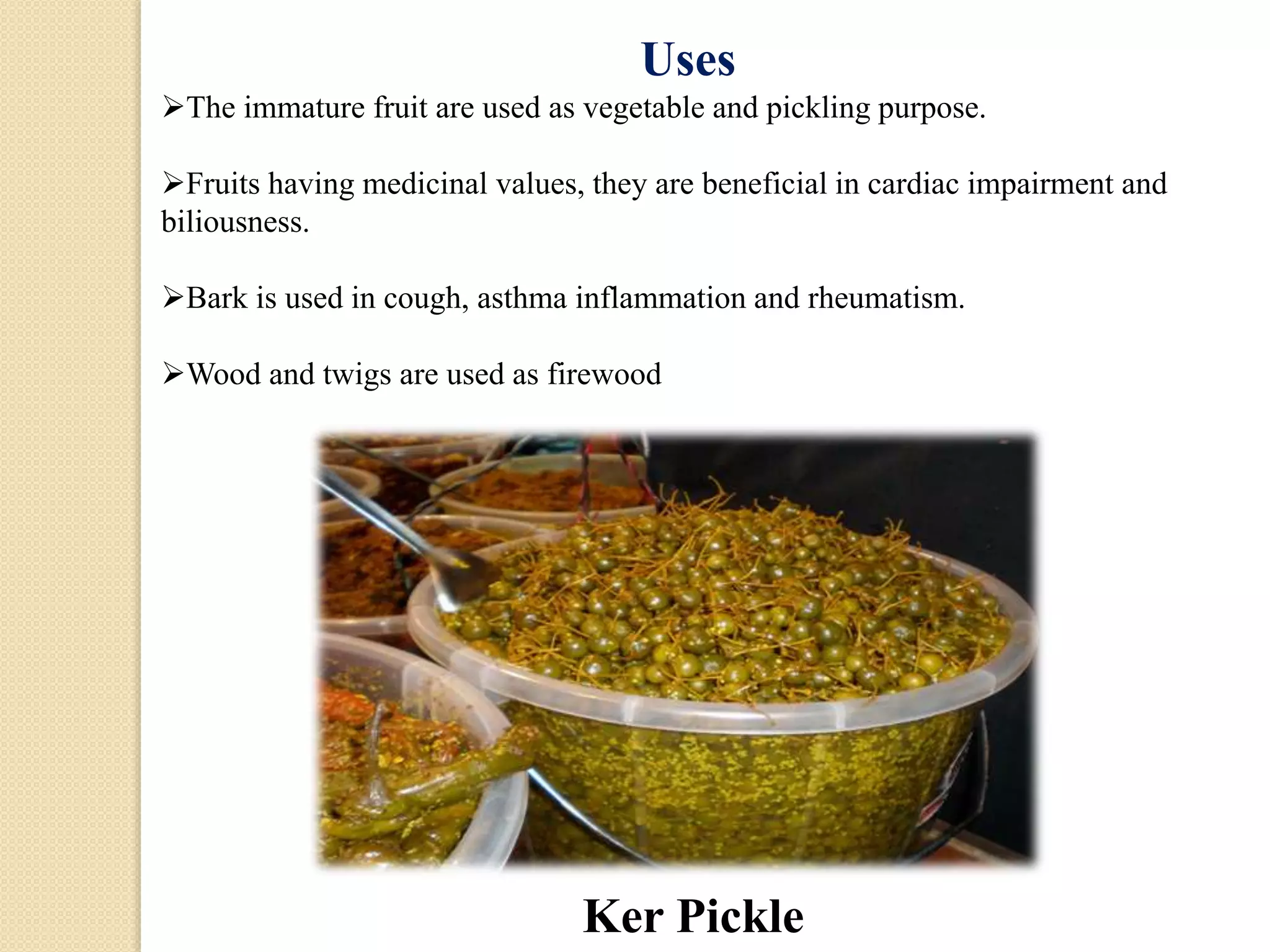 Presentation on Cultivation of ker | PPTX