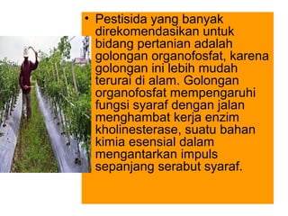 Keracunan pestisida | PPT