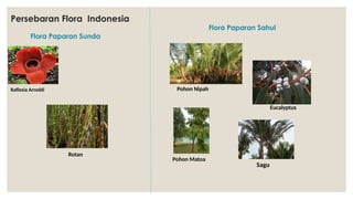 KERAGAMAN FLORA DAN FAUNA DI INDONESIA.pptx