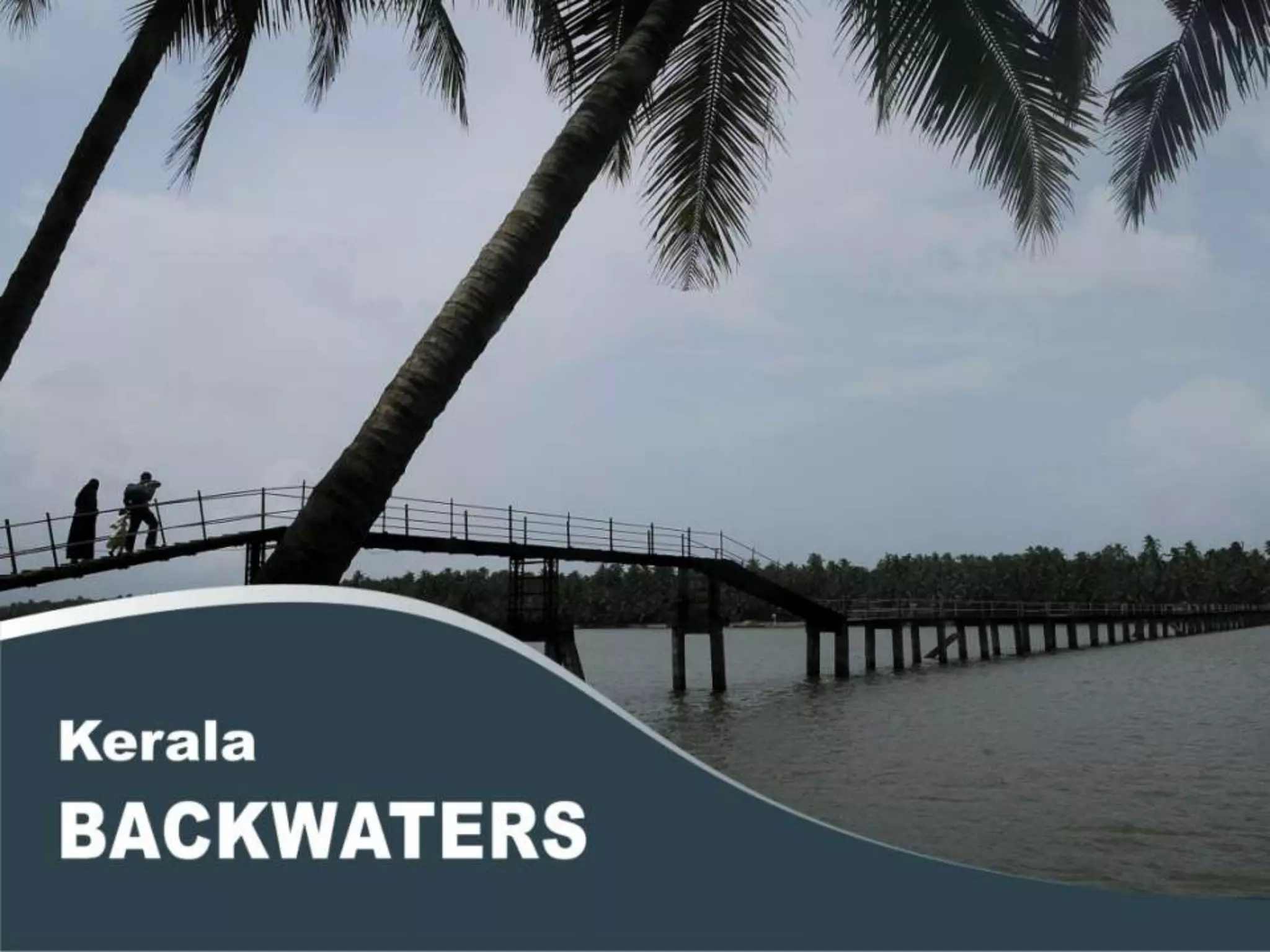 Kerala Backwaters-Backwaters-Alleppey Backwater-Backwaters in Kerala-Kerala Backwater-Backwater ...