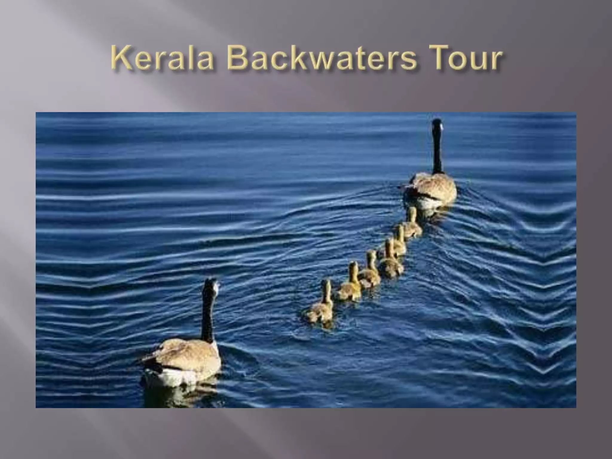 Kerala backwaters tour packages | PPTX | Day Trips | Travel Type