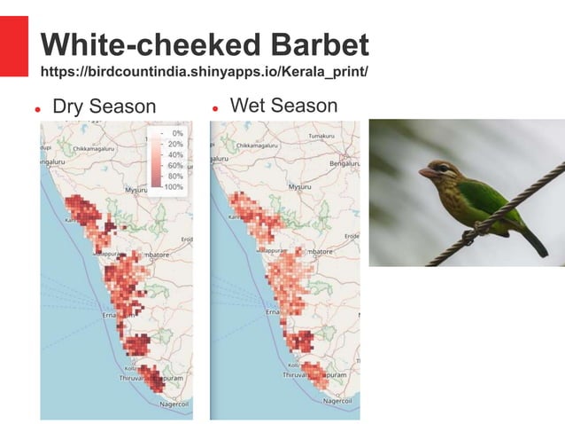 Kerala Bird Atlas | PPTX