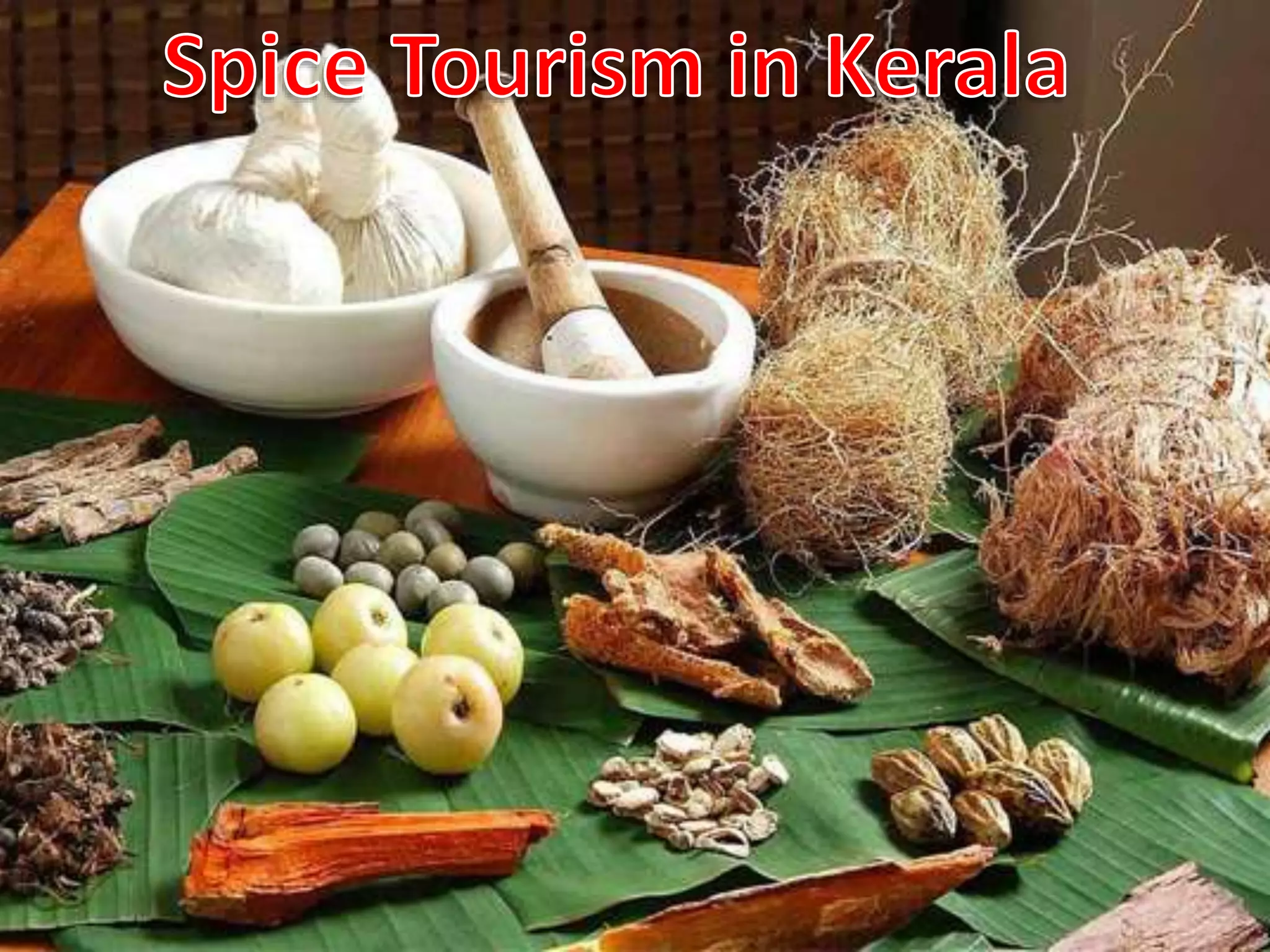 spice tourism in kerala | PPTX