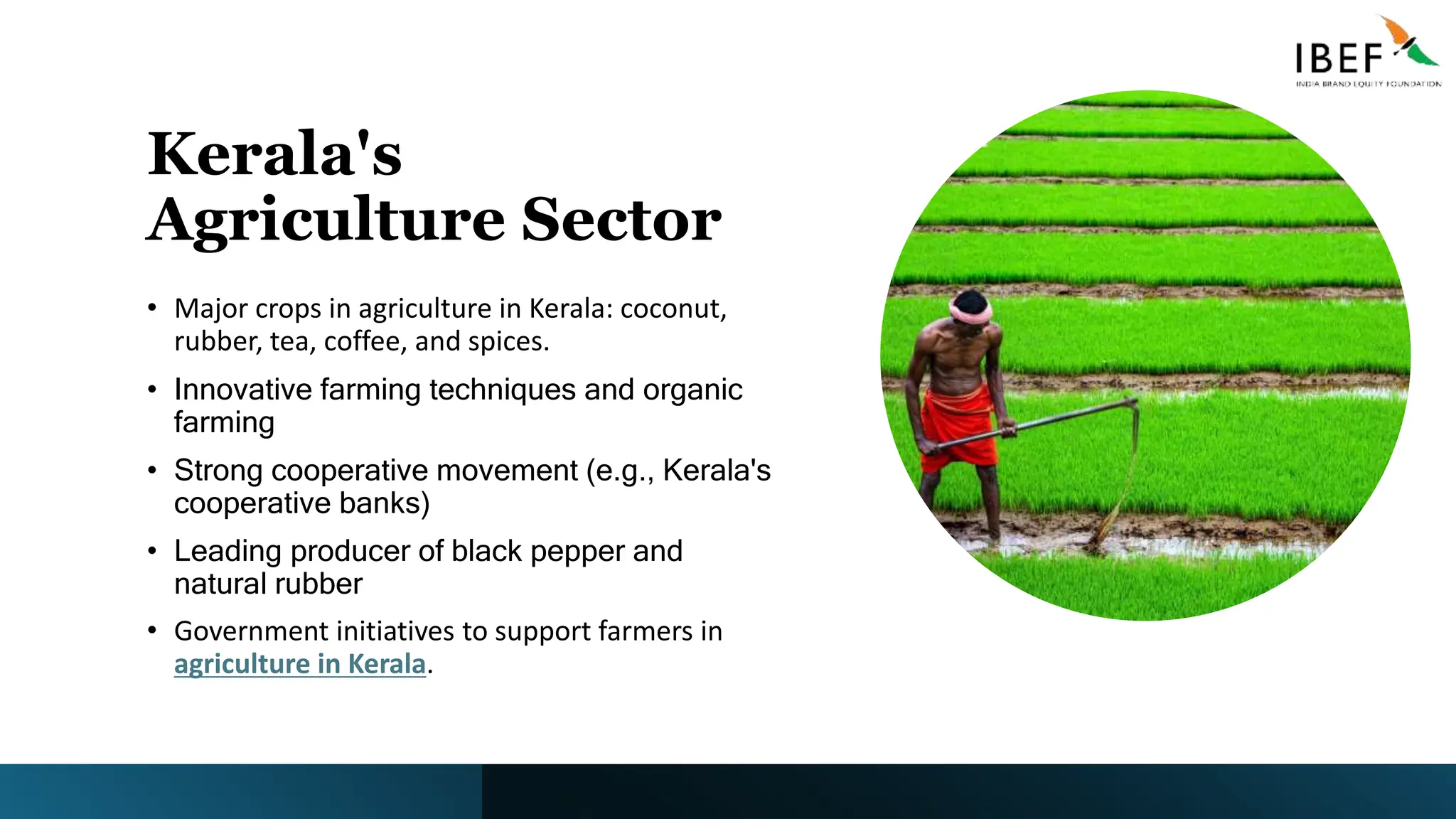 Kerala Tourism, Economy, Agriculture, and GDP Growth - Copy.pptx