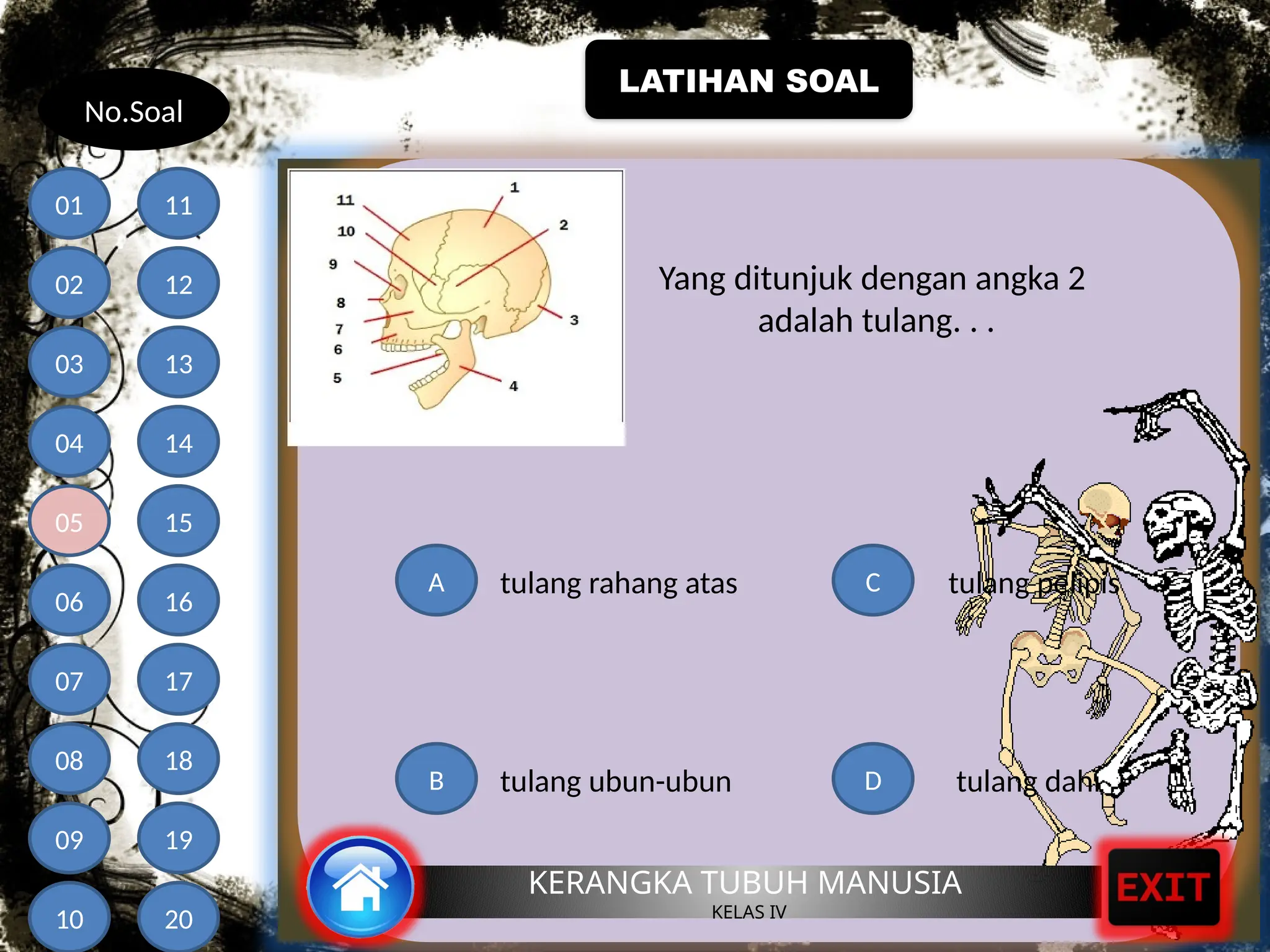 kerangka-tubuh-manusia-kelas 5 Kurikulum Merdeka | PPTX