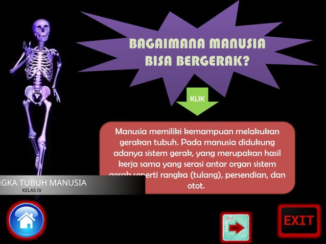 kerangka-tubuh-manusia-kelas 5 Kurikulum Merdeka | PPTX