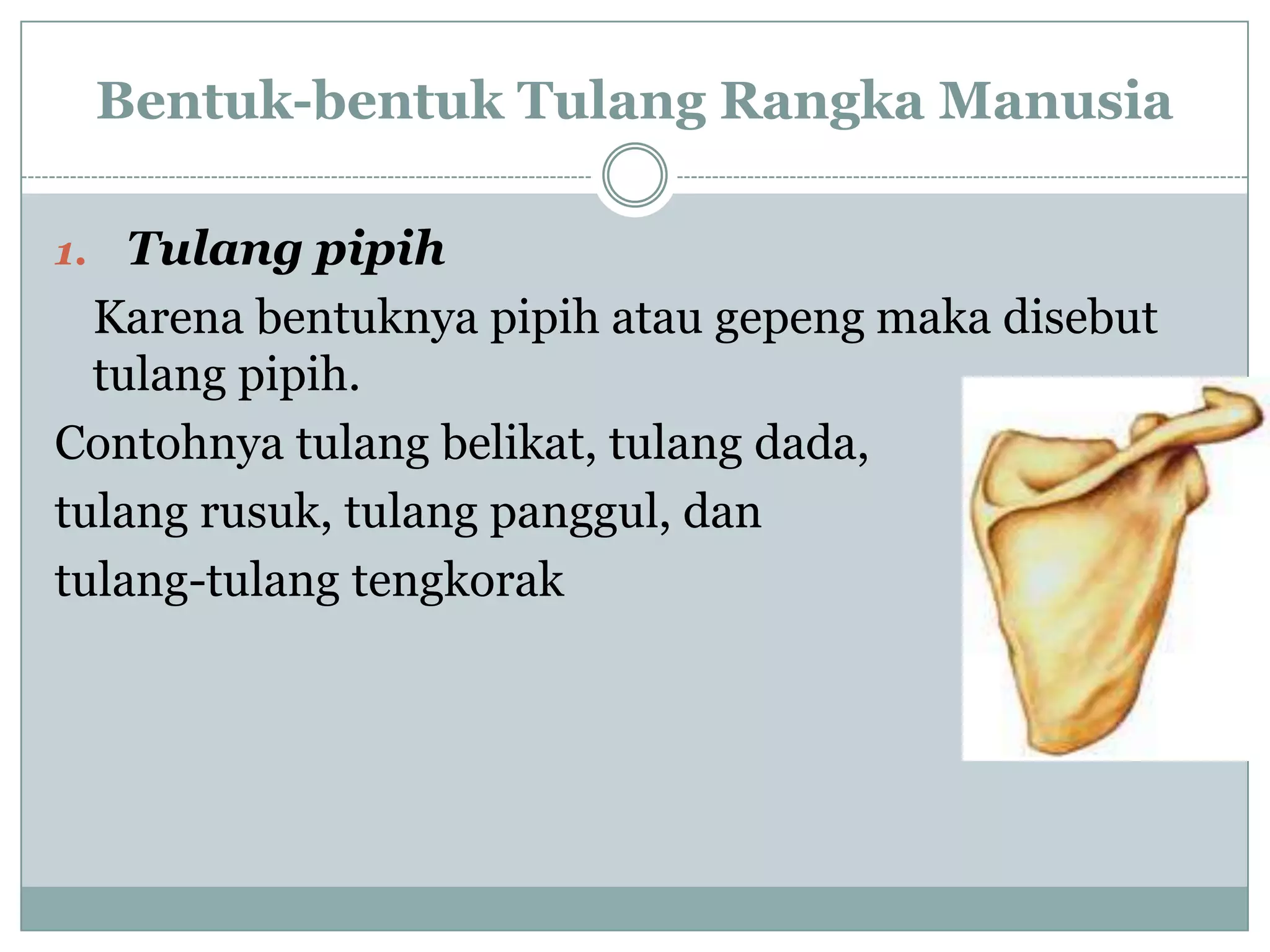 Kerangka tubuh manusia | PPTX