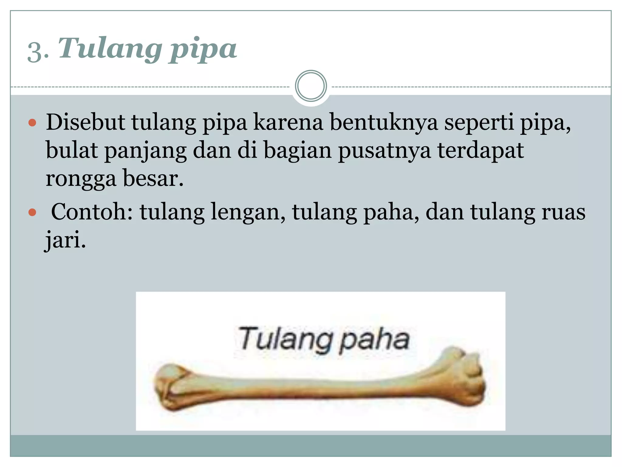 Kerangka tubuh manusia | PPTX