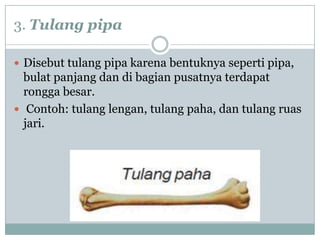 Kerangka tubuh manusia | PPTX