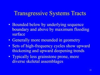 Kerans_Introduction_to_Sequence_Stratigraphy_small.ppt
