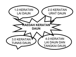 Keratan daun | PPT
