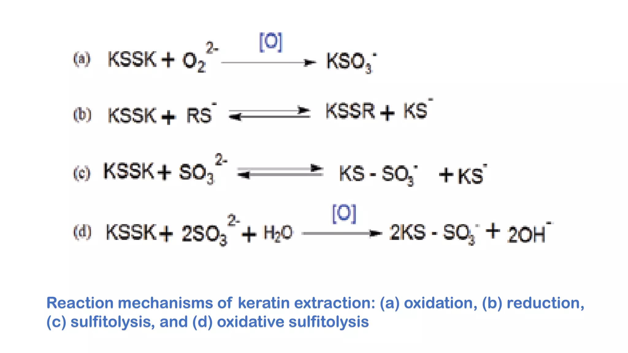 Keratin | PDF